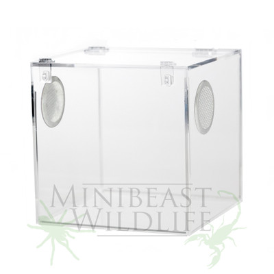 Acrylic enclosure (200mm x 200mm x 200mm) with TOP OPENING hinged lid ...