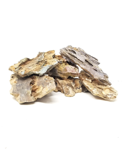 Japanese Ohko Rock (Dragon Stone) - aquascaperoom