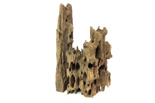 Shrimp Driftwood for Sale | Aquarium Plants in Canada