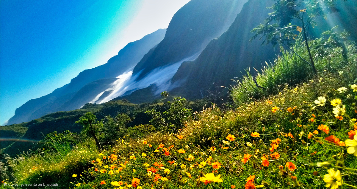 SPRING ADVENTURE IDEAS - Newpowa