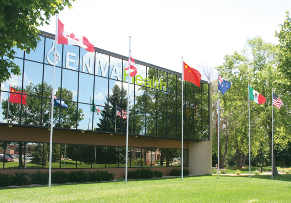 20 Years of Eniva - Eniva