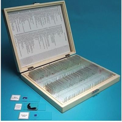 Prepared Slide Set, 100 Slides | CMTP