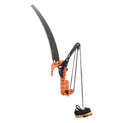 Tree Pruner Head | CMTP