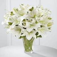 Spirited Grace - Oak Farms - Flower Outlet Inc