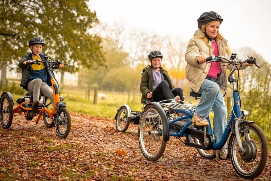 Special Needs Adult Trikes for Stability & Comfort | Adaptive Tricycles ...