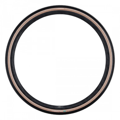 Schwalbe G-One R Pro 700x40 Tan - True Bicycles