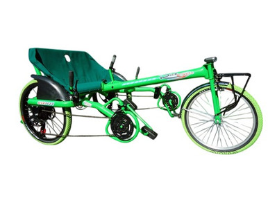 Ricksycle Two-Person Side-by-Side Trike | Special Needs Trike for ...