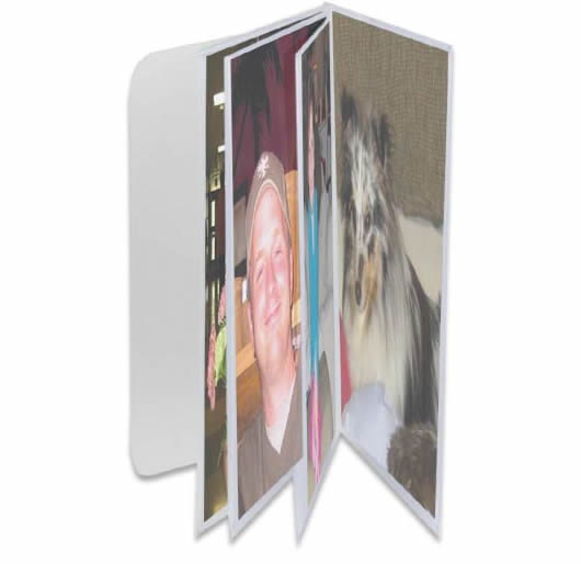 Photo Insert for Wallet Trifold 4 Page Multipurpose