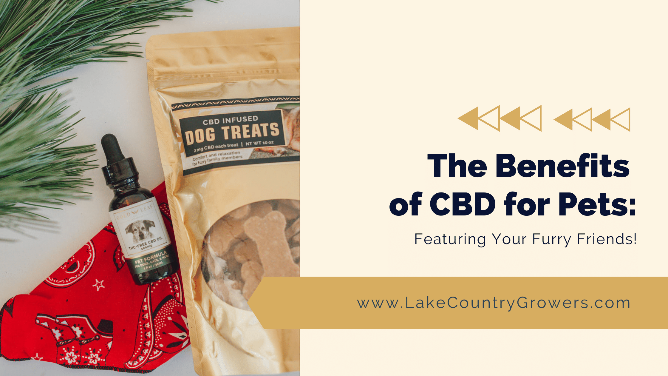 The Benefits of CBD for Pets: Featuring Your Furry Friends! - Lake ...