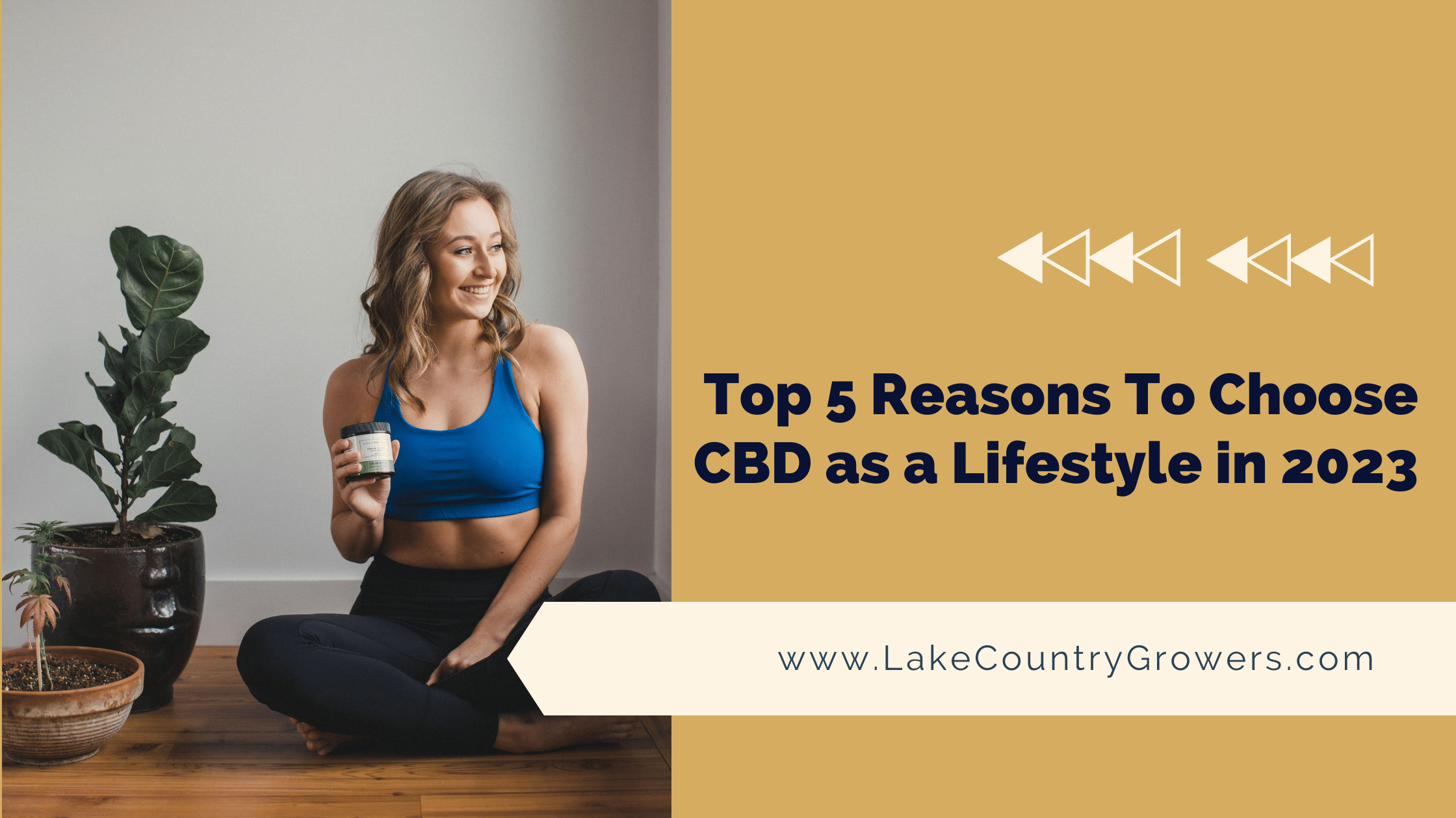 Top 5 Reasons To Choose CBD as a Lifestyle in 2023 - Lake Country Growers