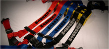 Schroth MINI Cooper Quick Fit Harness