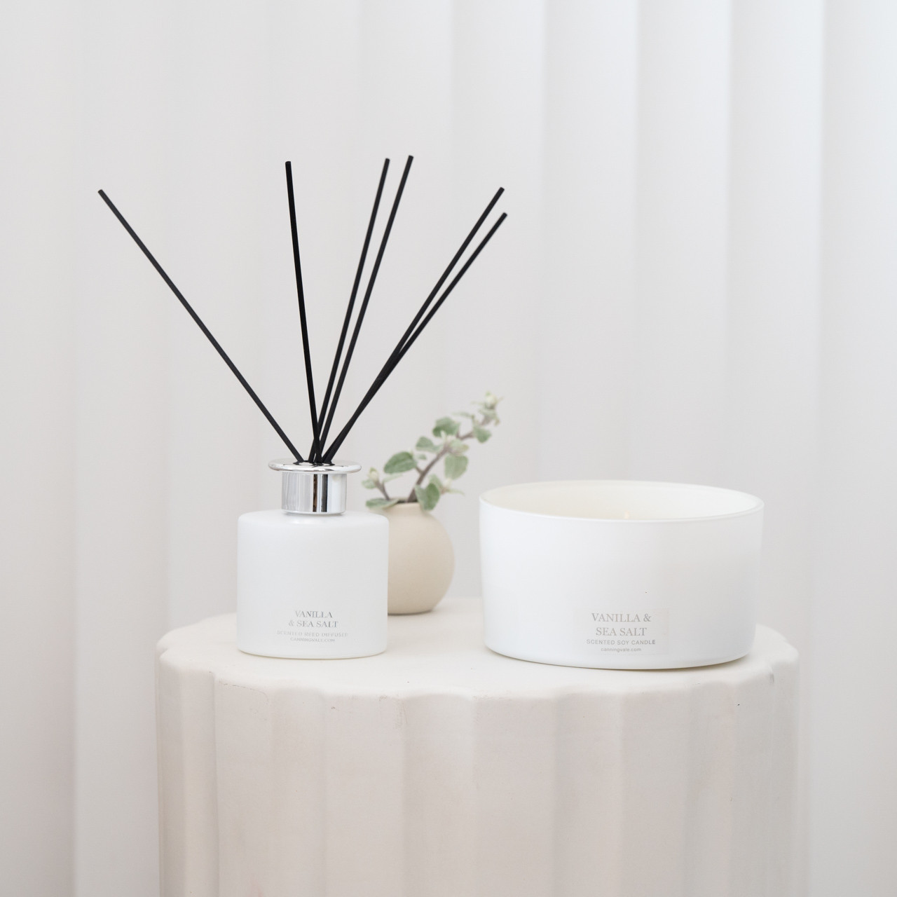 Reed Diffuser | Vanilla & Sea Salt | Canningvale