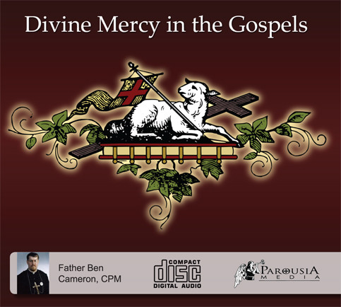 Divine Mercy in the Gospels (2 CD Set) - Fr Ben Cameron, CPM - Fathers ...