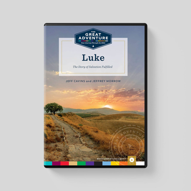 Luke: The Story of Salvation Fulfilled (DVD) - Jeff Cavins & Jeffrey ...