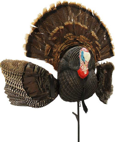 DecoyMojo Scoot 'n Shoot Max Turkey Hunting Guide HW2513