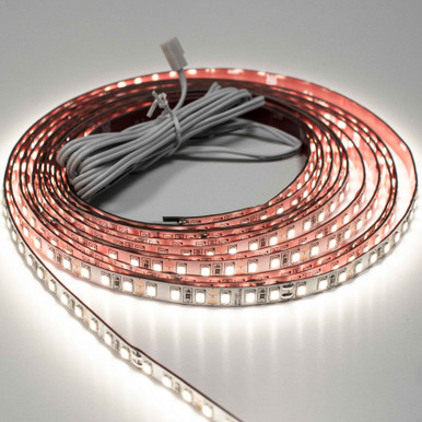 12V Superior Multi Point LED Strip 3/5M Reel 9.6W - Sycamore B2B