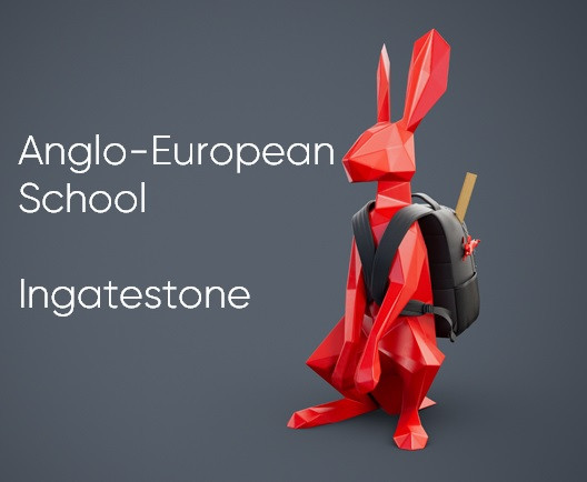 Anglo European School