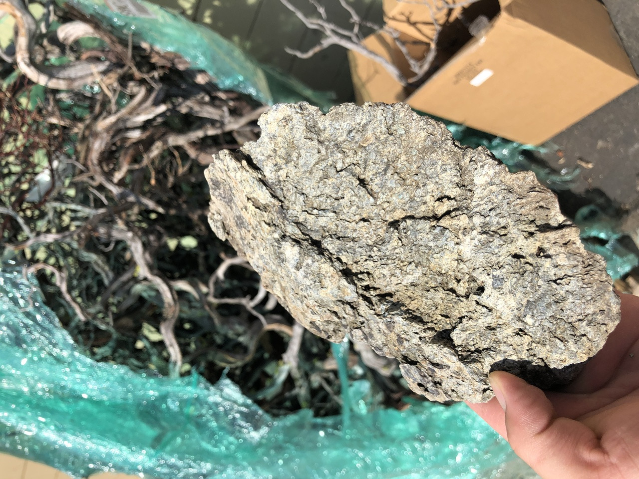 Aquascaping Stones: El Jefe Stone from Tom Barr