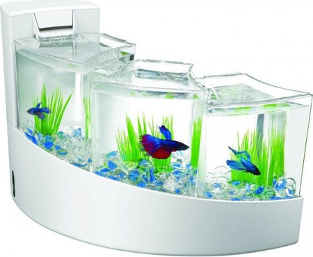 Aquarium Kits For Sale: Aqueon Betta Falls Aquarium Kit