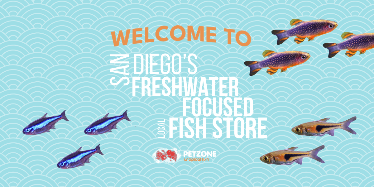 Pet Zone Tropical Fish: Freshwater Tropical Fish Store & Aquascape Shop ...
