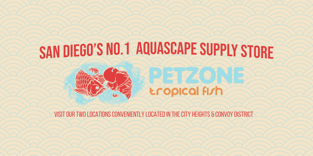 Pet Zone Tropical Fish: Freshwater Tropical Fish Store & Aquascape Shop ...