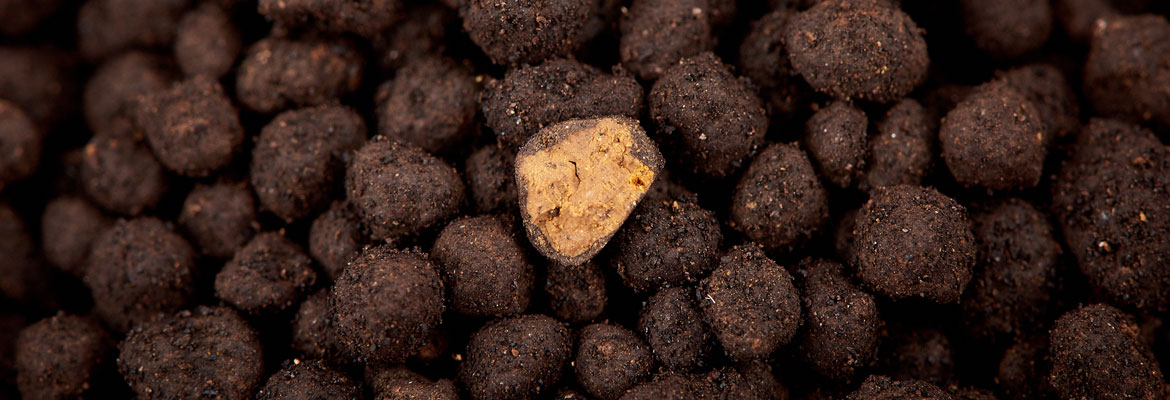 Freshwater Natural Substrate: AQUARIO NEO PLANT SOIL