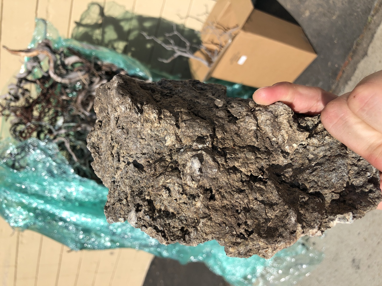 Aquascaping Stones: El Jefe Stone from Tom Barr