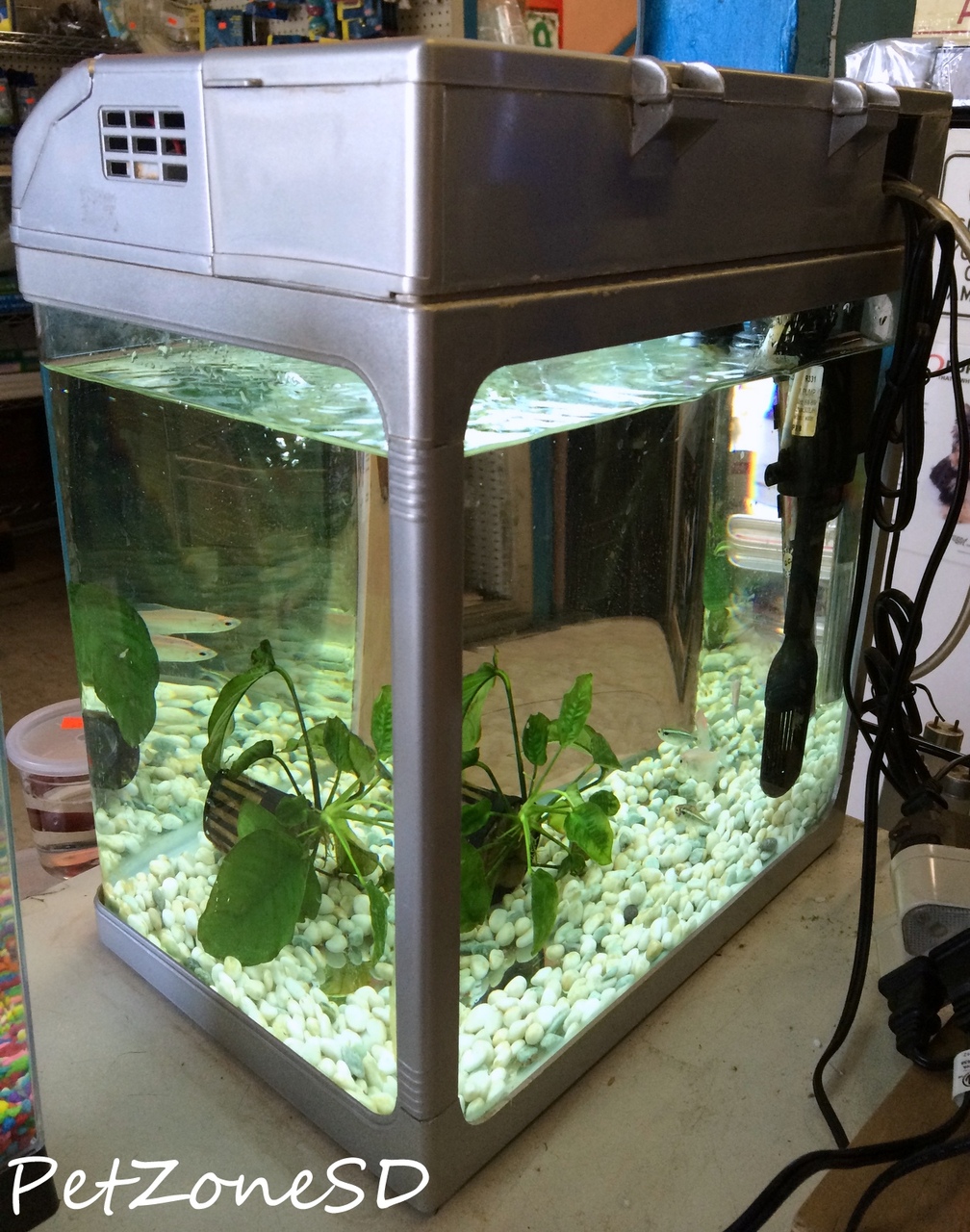 Micro Curved Glass Aquarium - 5 Gallon - Nano Tank! - Pet Zone Tropical ...