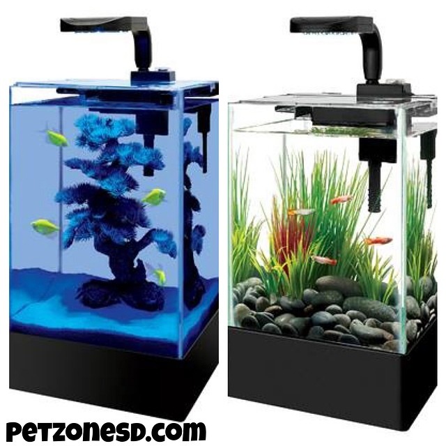 Newly Arrived Desktop Aquarium "Nano Tanks" For Your Office or Home ...