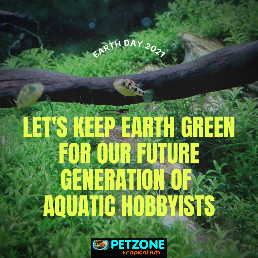Happy Earth Day 2021 From Pet Zone Tropical Fish - Pet Zone Tropical ...