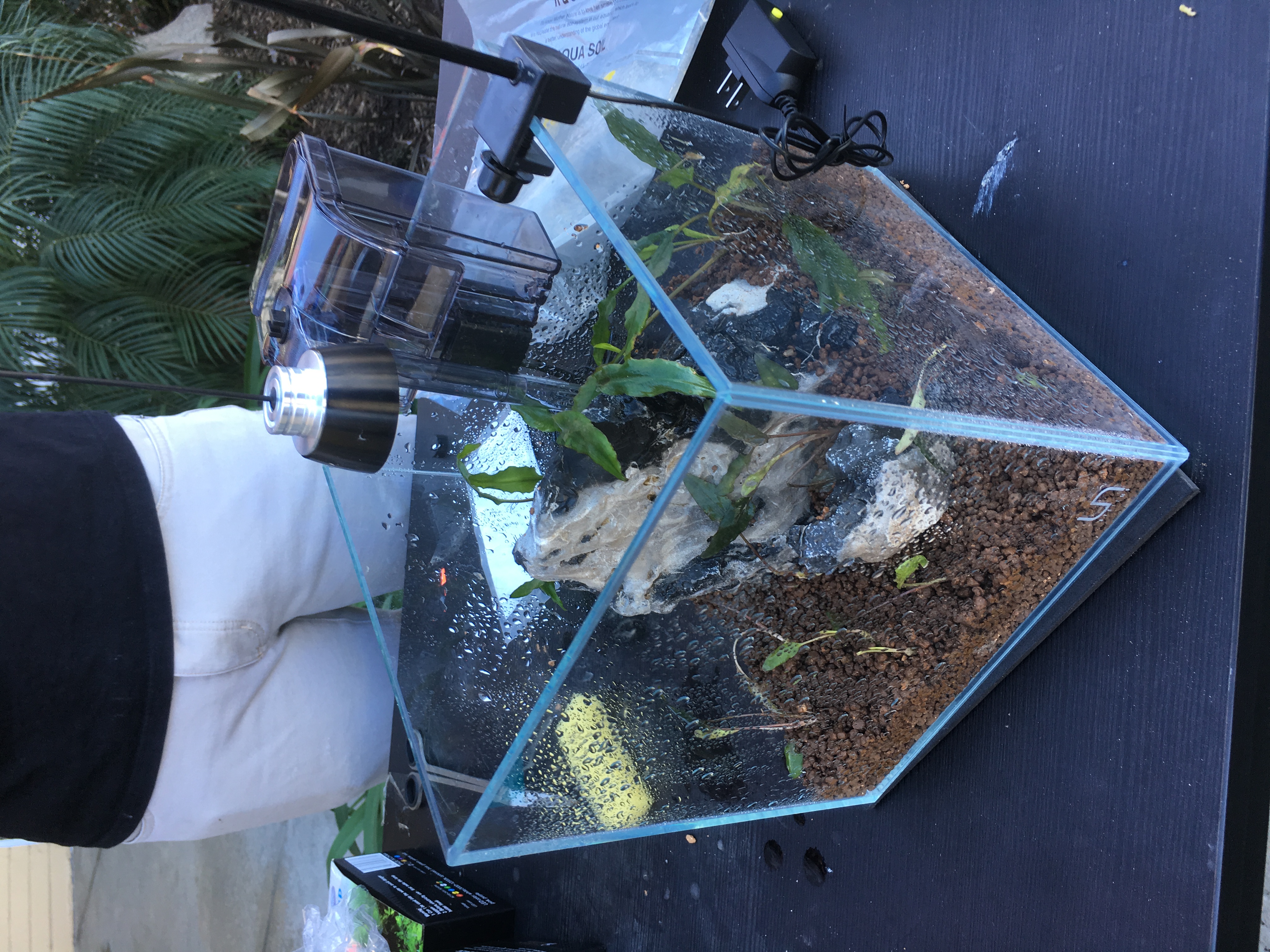 Aquascape Workshop On Black Friday 2017 - Pet Zone Tropical Fish - San ...