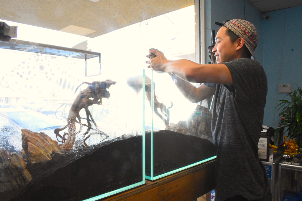 Hardscape Layout & Substrate Setup Aquascape Tank Build on Ultum Nature ...