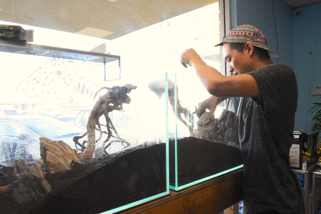 Hardscape Layout & Substrate Setup Aquascape Tank Build on Ultum Nature ...