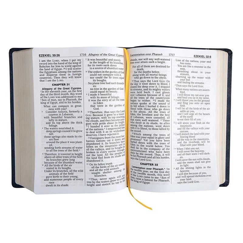 The New Catholic Bible - Dark Blue Dura-Lux Giant Type Edition ...