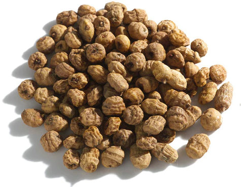 Tiger Nuts Carp Bait | $5 Flat-Rate Shipping | Carp Angler