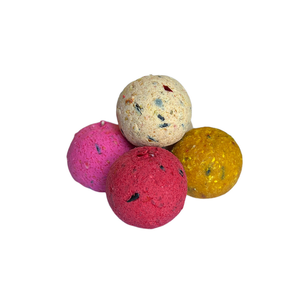 Carp Boilies