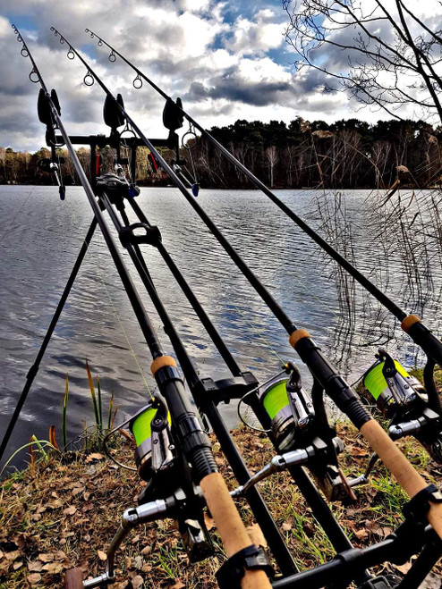 Katran Synapse Neon Line