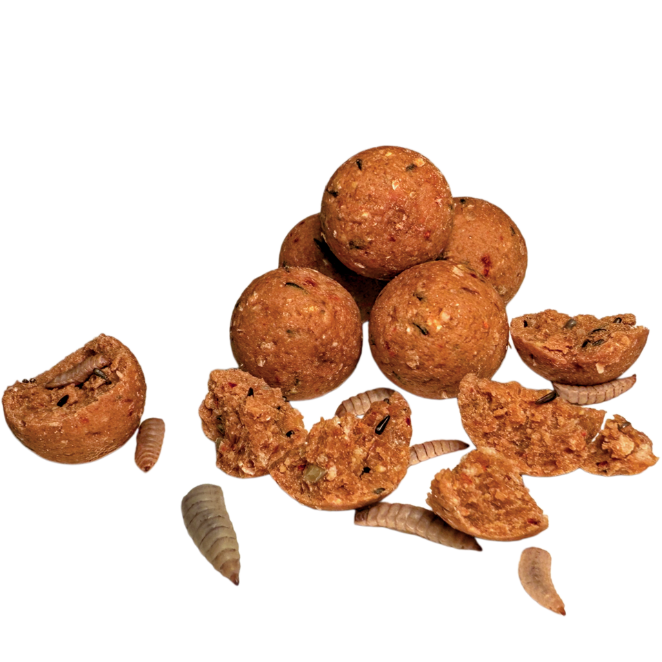 Carp Boilies | Affordable Selection | Shop Carp Angler