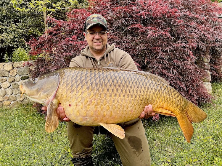 New Connecticut State Record Carp: 45lb 8oz of Pure Glory - Carp Angler