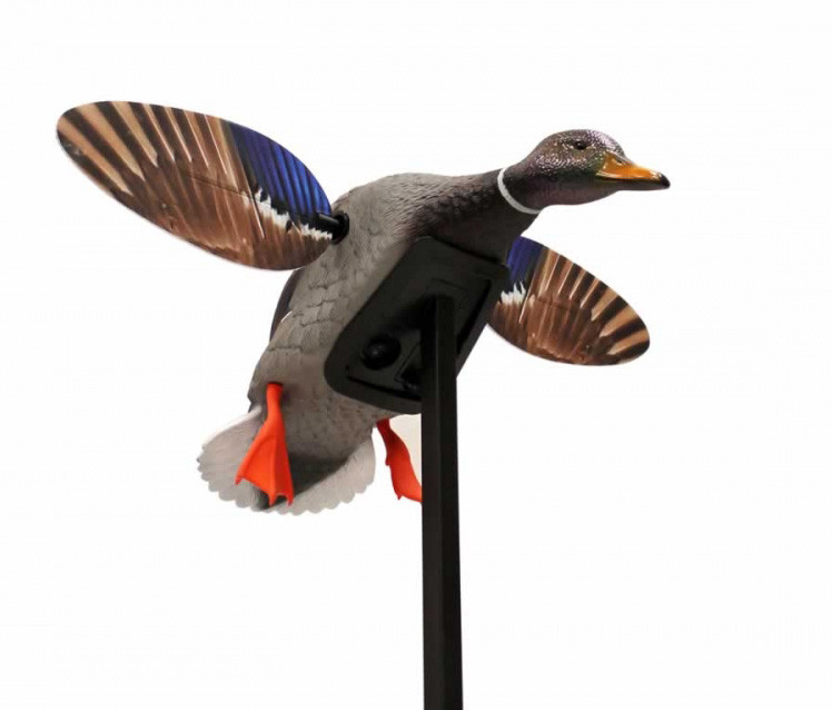 Mojo ES Mini Mallard Drake - Hero Outdoors