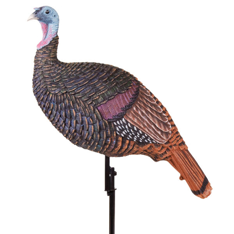 Shady Baby Upright Hard Body Decoy - Hero Outdoors