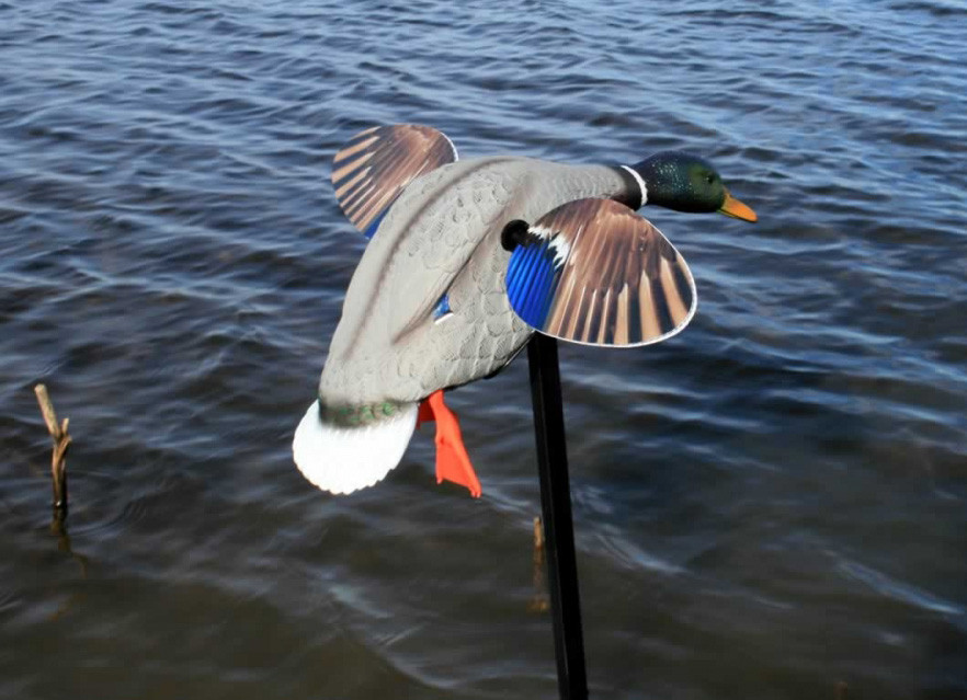 Mojo ES Mini Mallard Drake - Hero Outdoors