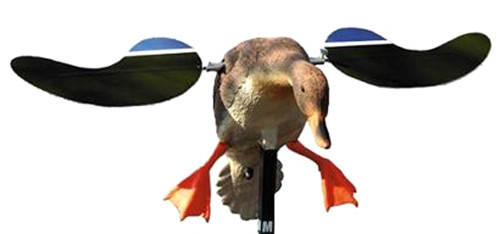 Baby Mojo Hen - Hero Outdoors