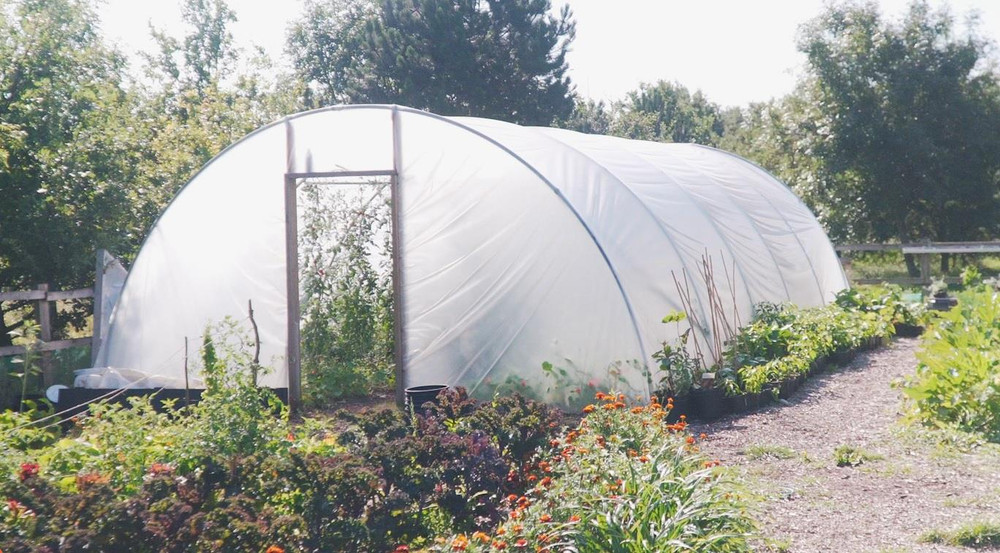 18ft × 48ft Heavy Duty Commercial Polytunnel Kit: Professional ...