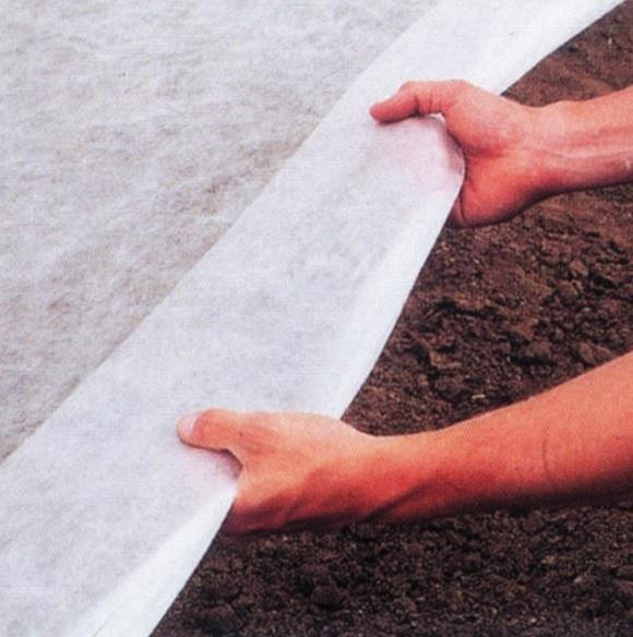 1.5mx10m Professional Plant Fleece 30gsm for Ultimate Frost Protection ...