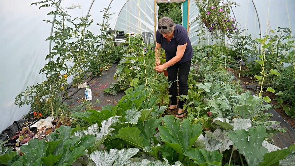 14ft x 54ft Heavy Duty Straight Sided Polytunnel Kit – Professional ...