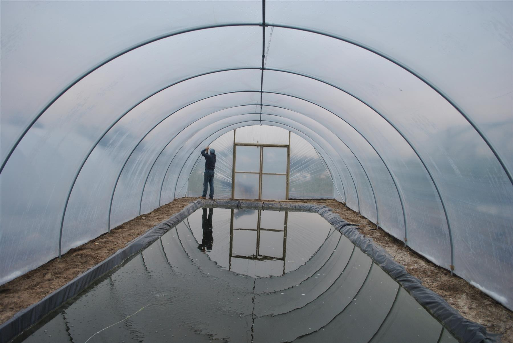 18ft × 84ft Heavy Duty Commercial Polytunnel Kit: Professional ...
