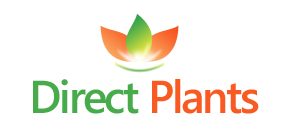New Website Launch - Direct Plants