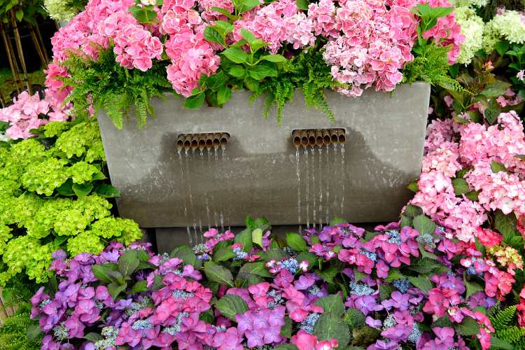 21 Garden Features for Those Forgotten Corners - Direct Plants