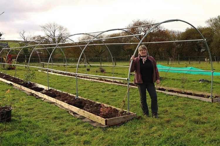 How to grow fruit and vegetables on a vertical growing arch - Direct Plants